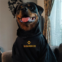 BinanceDog On Sol (DOGS) Цена, Графики, Рыночная капитализация | CoinMarketCap