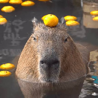 Capy coin Price History and Historical Data | CoinMarketCap